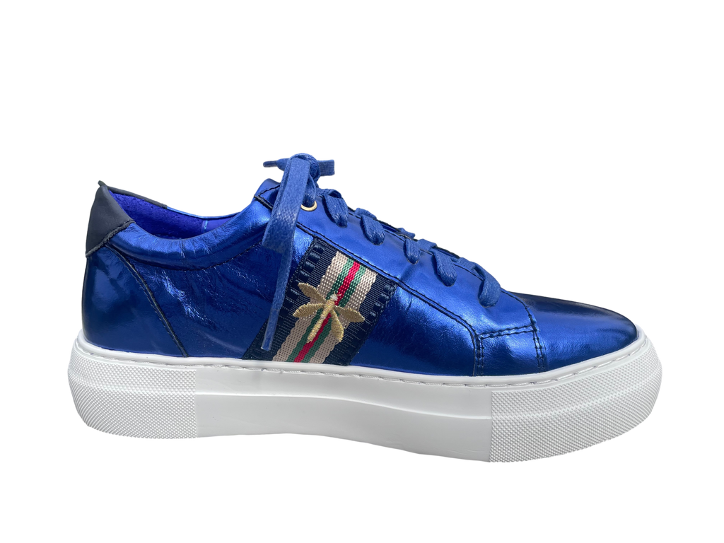 Gelato Zonk – Sole Comfort NZ